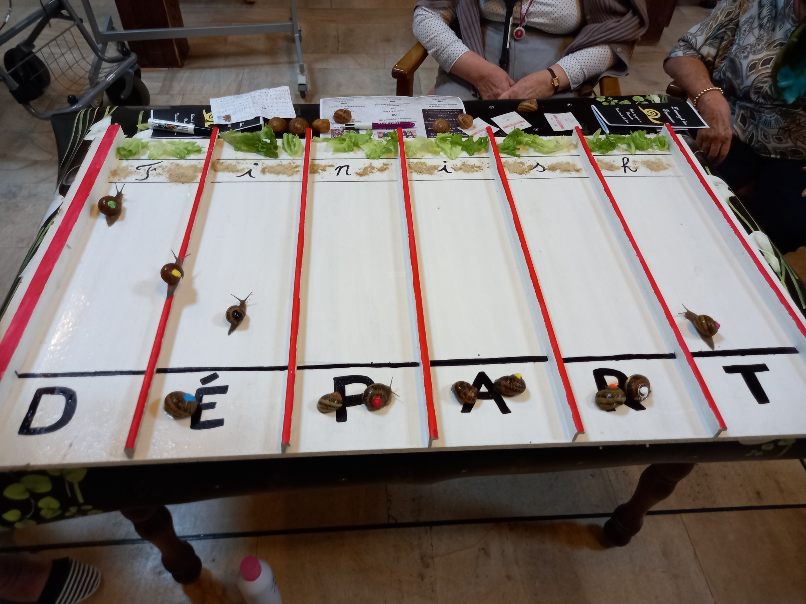 Insolite : une course d'escargots au Castel - ASMJ